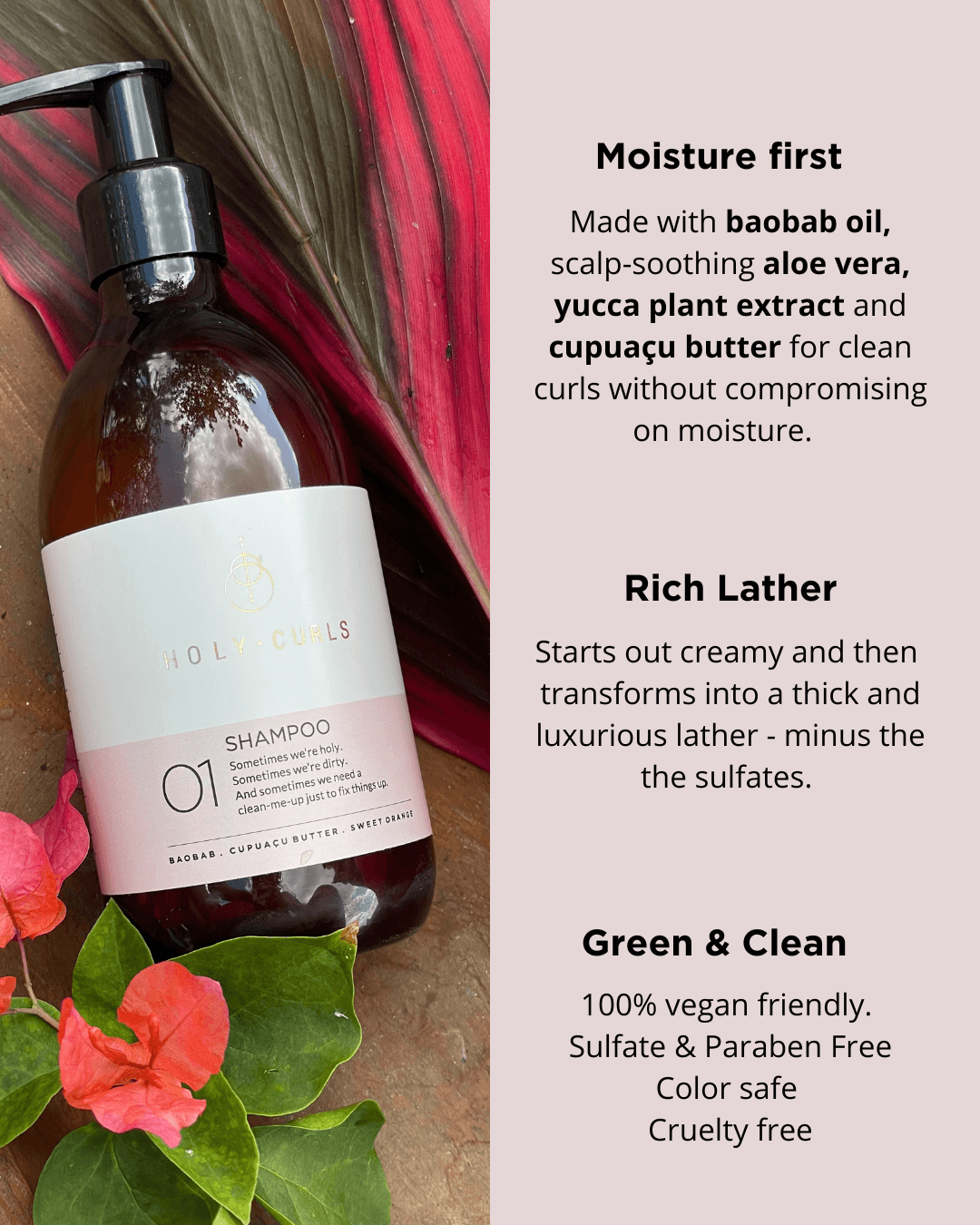 Holy Curls | Curl Shampoo for Curly Hair